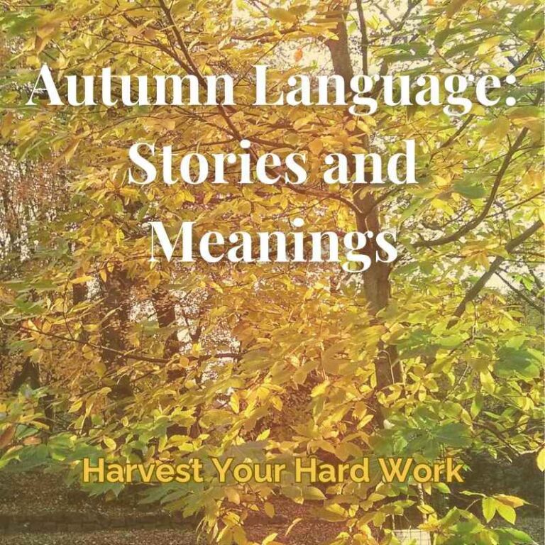 Short idiom stories - Stephen's Evolution