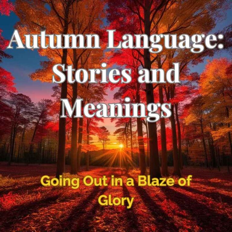 Short idiom stories - Stephen's Evolution