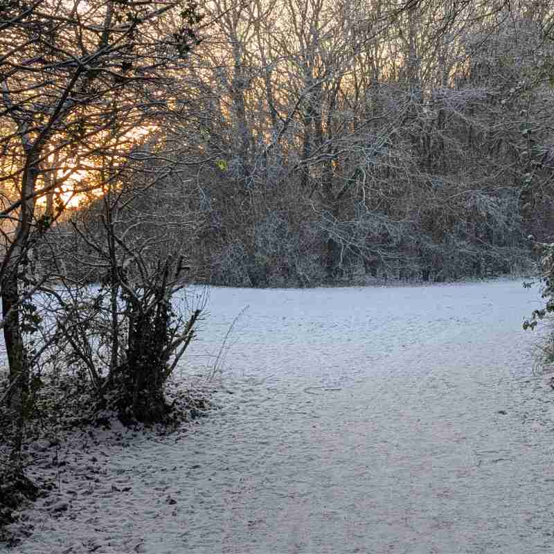 Enduring Winter, Embracing Spring - A Journey of Growth - Stephen's ...