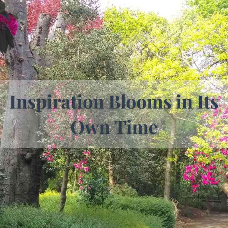 Planting Seeds of Inspiration: Creativity, Growth, and Understanding ...